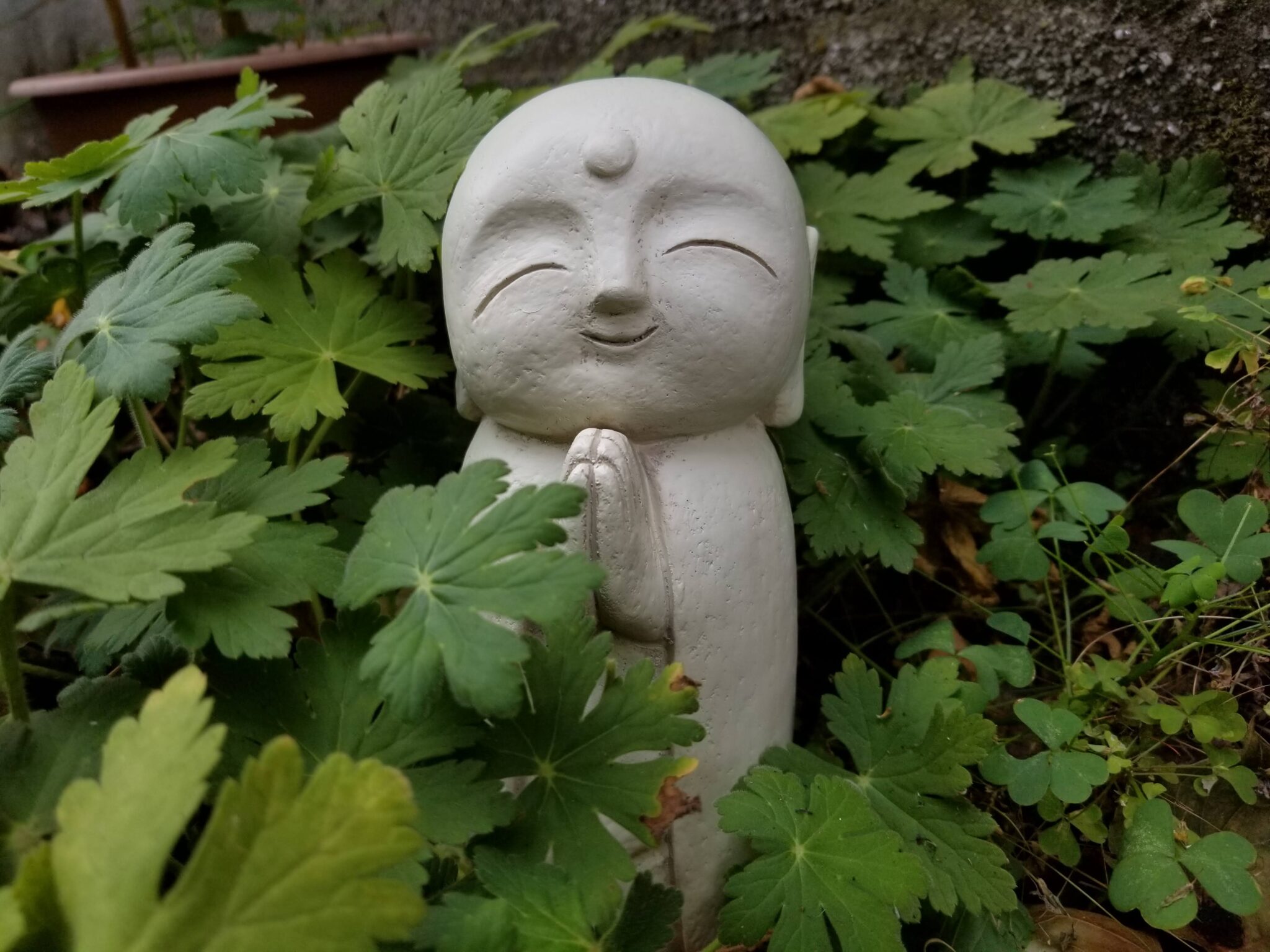 Boston Area Zen Meditation - Greater Boston Zen Community